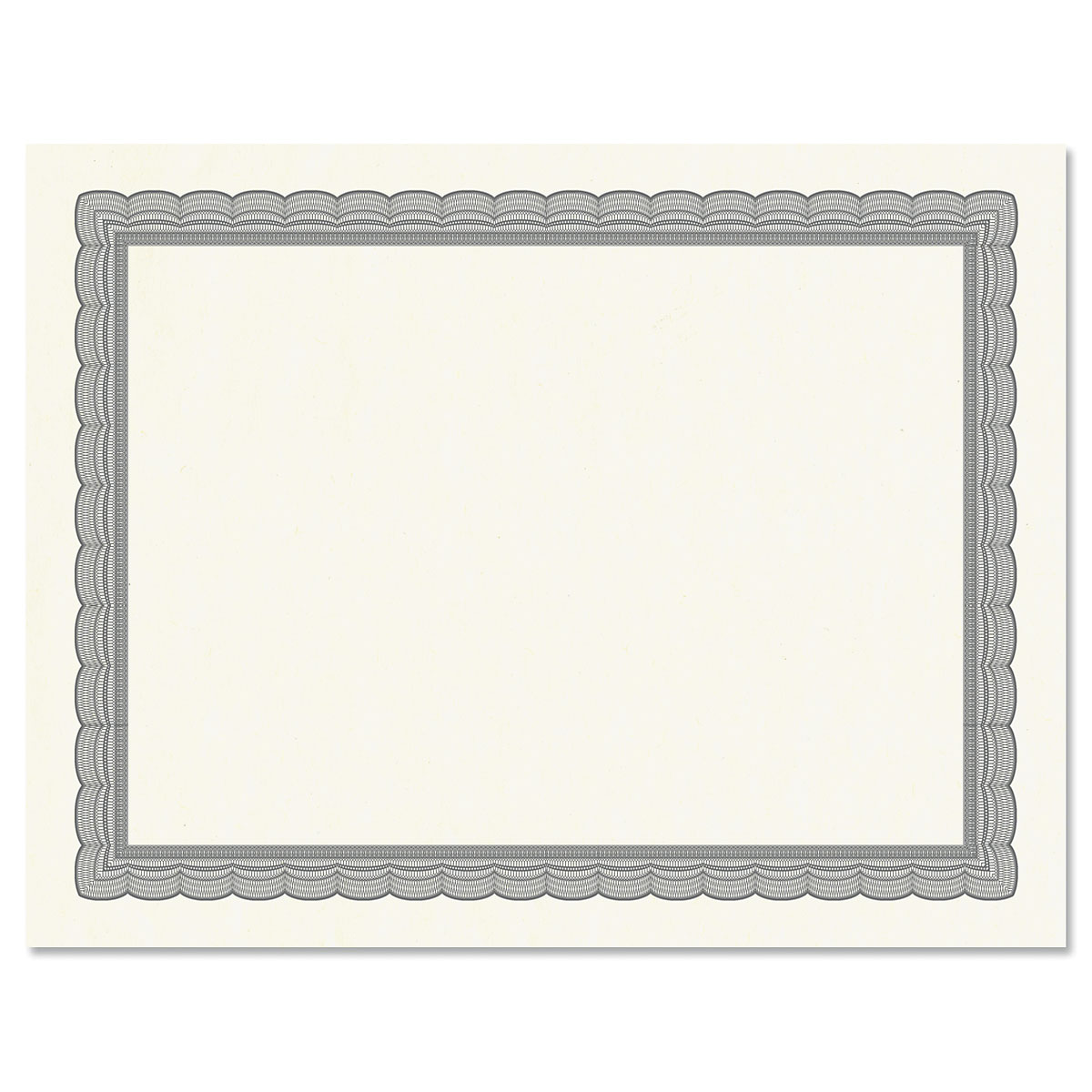 Executive Gray Certificate on White Parchment - Set of 50 | Fine Stationery