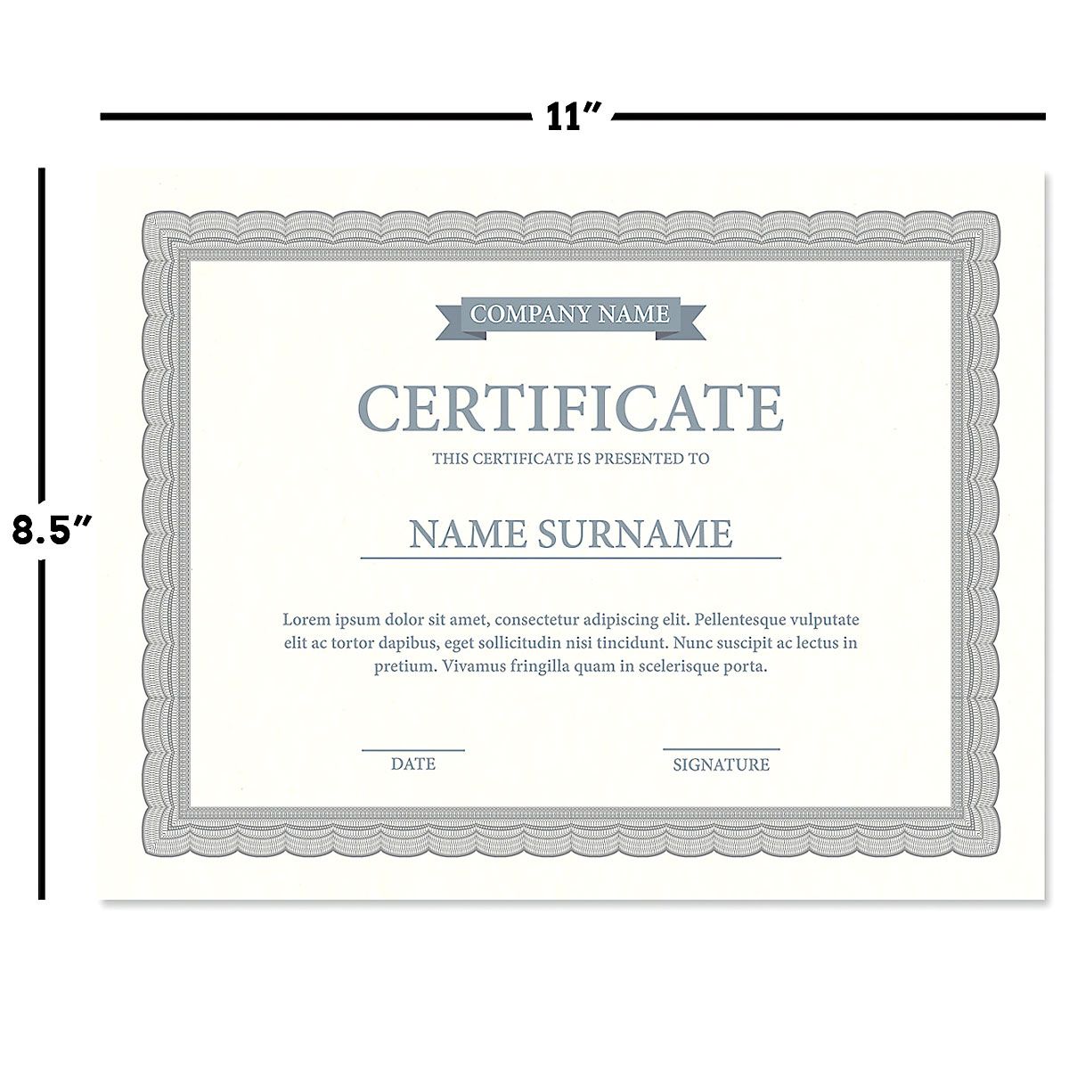 Executive Gray Certificate on White Parchment - Set of 50 | Fine Stationery