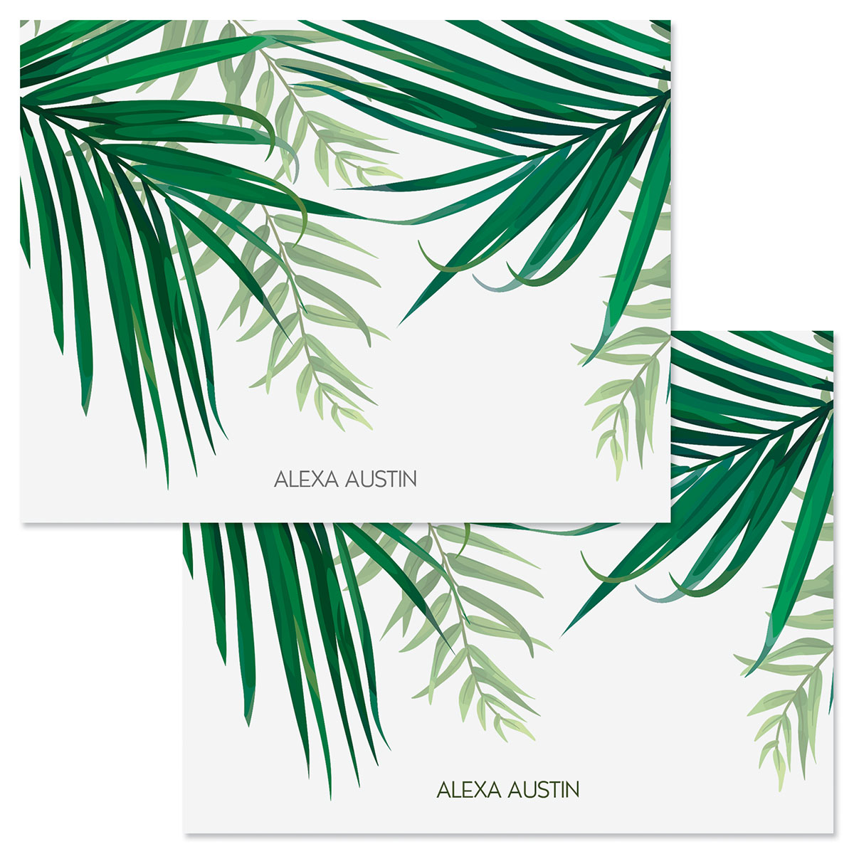 Monstera Palm Note Cards | Fine Stationery