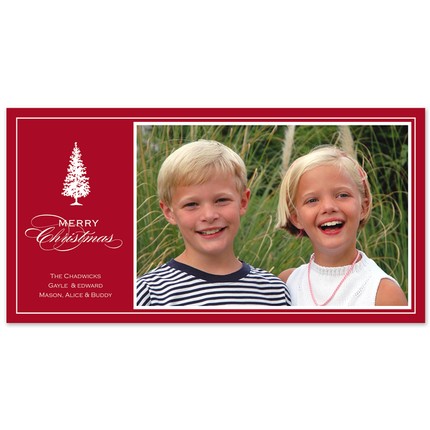 Family Tree Photo Card | Fine Stationery