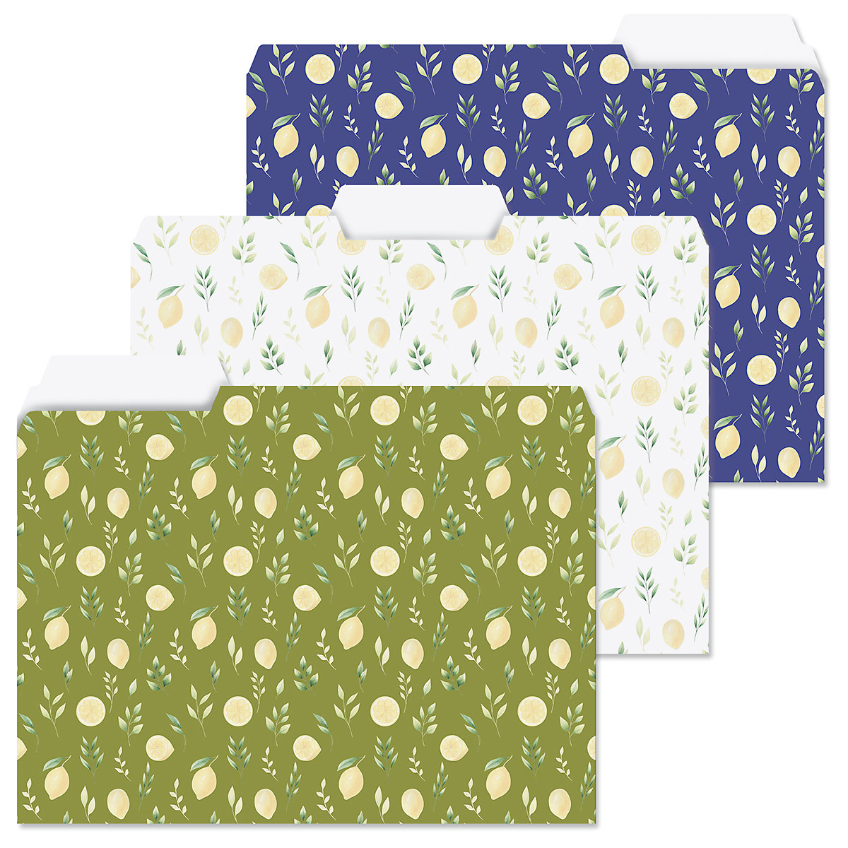 Citrus Field File Folders | Fine Stationery